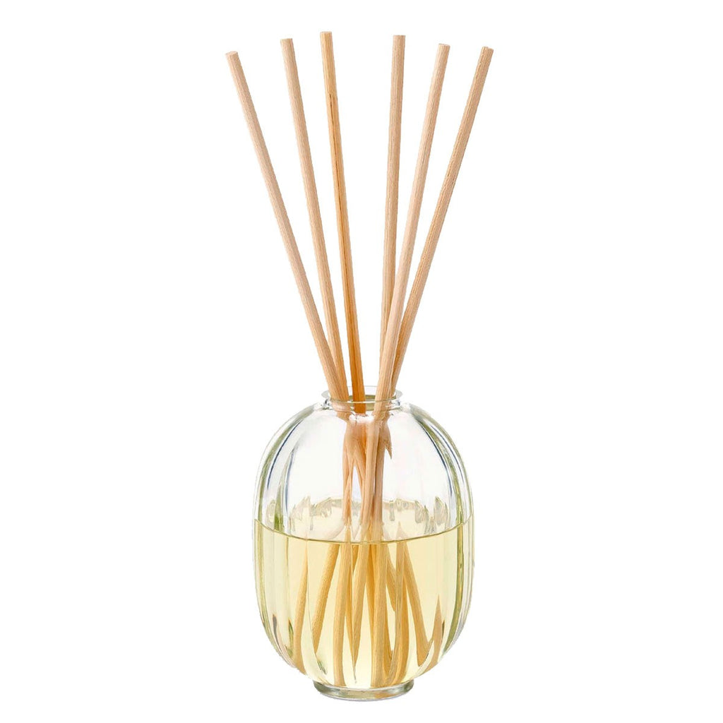 Diptyque 34 Mikado Home Diffuser - Fragrance Diffuser | jcApotecari